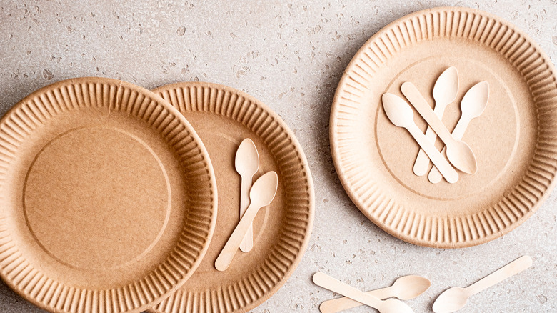 The Cheap Paper Plate Hack That Is A Game-Changer For Moving