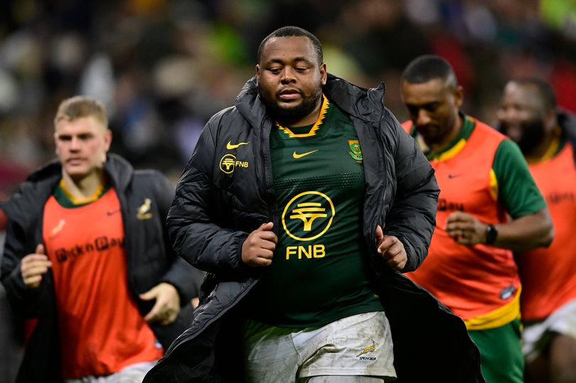 Tonight's rugby news as Springboks star stood down after drug test and ...