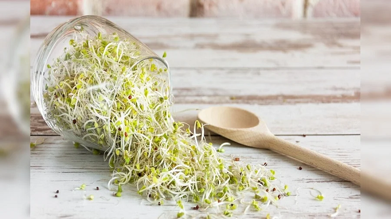 Health Tips- Eating too many sprouts has a bad effect on health, know ...