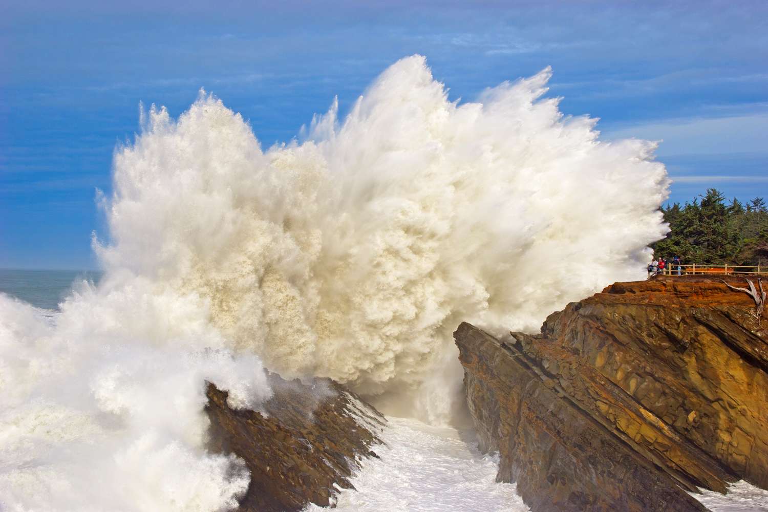 Mile-Deep Underwater Volcano Is Inflating ‘Like a Balloon’ and Could ...