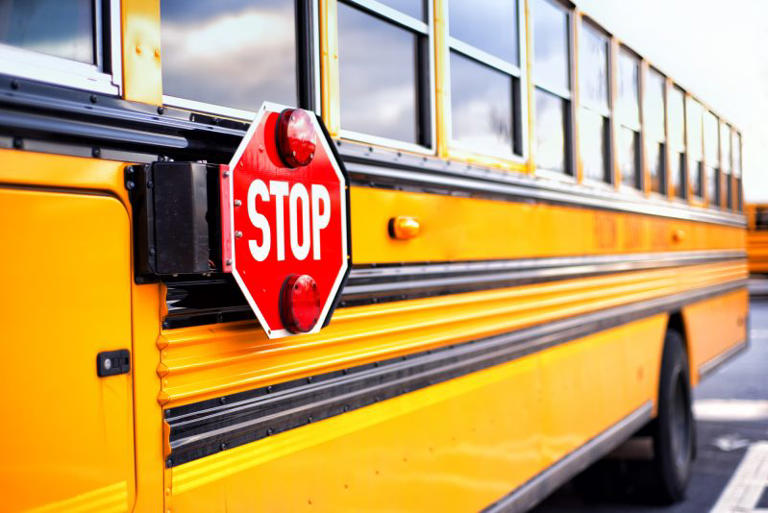 Why school buses are painted yellow