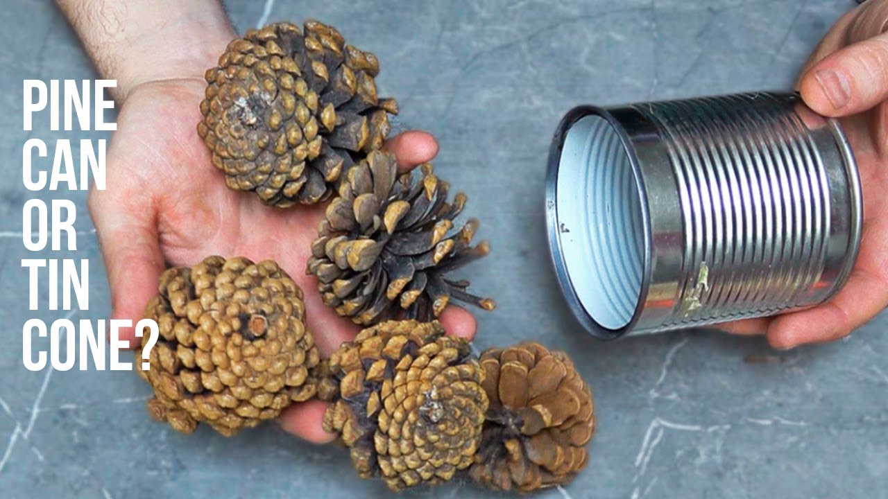 Tin Can and Cone Craft Project