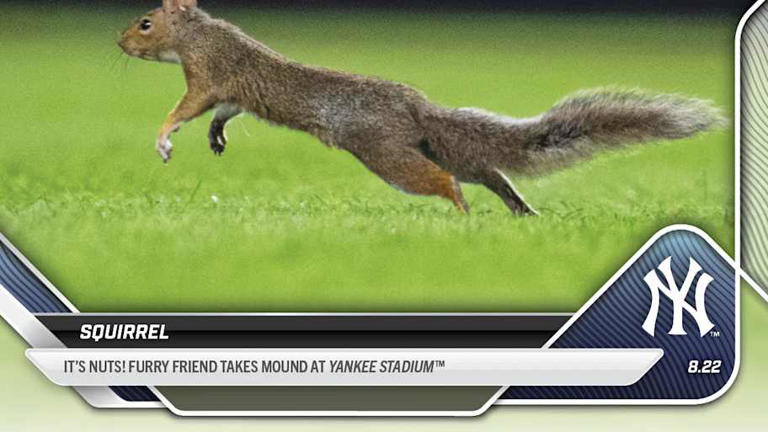 The squirrel from the Red Sox Yankees game gets a Topps Now Card