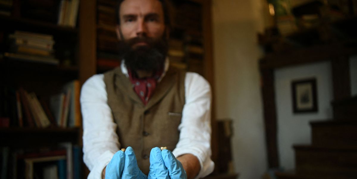 Scientists Sequenced the DNA of the ‘Last Neanderthal’—and It Alters ...