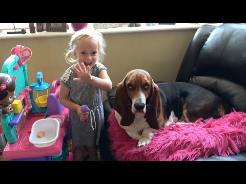 Dog and baby meet basset hound for the first time