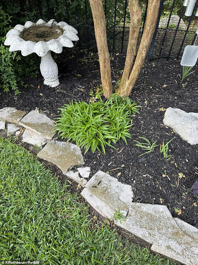 Homeowner narrowly misses 5-foot rattlesnake hiding in plain sight ...