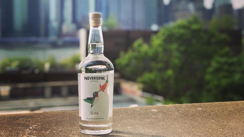 10 Best Gins For A Tom Collins