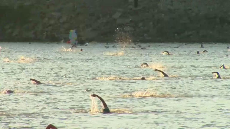250 swimmers take the plunge for the Bill Keating Jr. Great Ohio River Swim