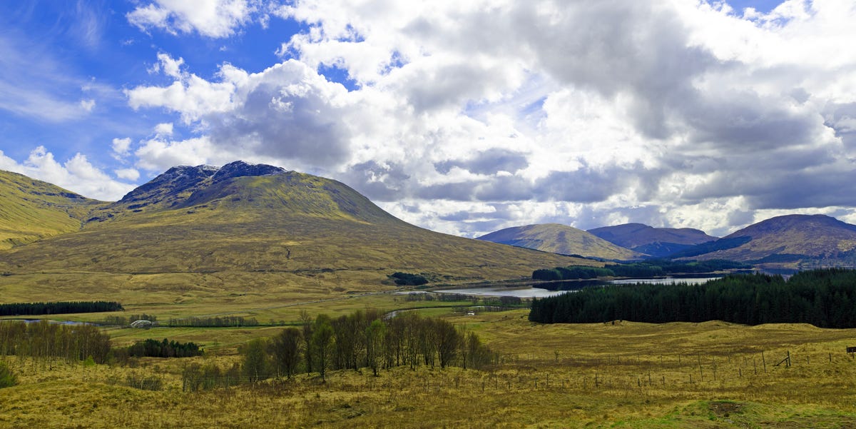 The Vanishing Cyclist: Where Alexander and Robert McKellar are now ...