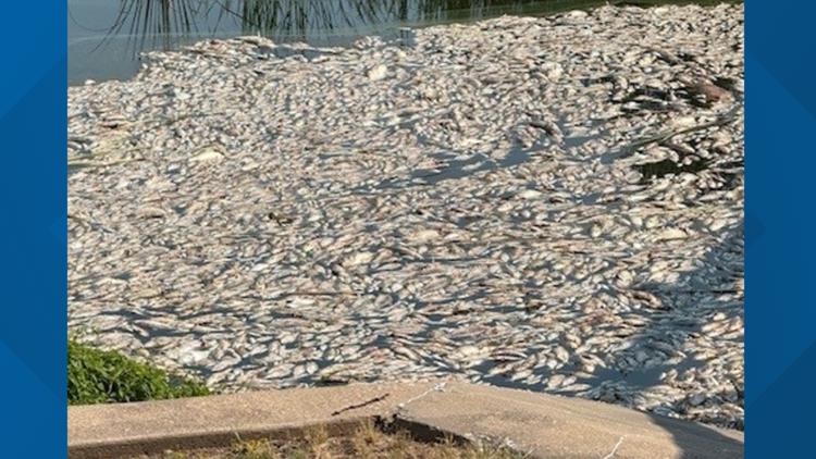 Drop in oxygen kills fish in Denton lake, officials say