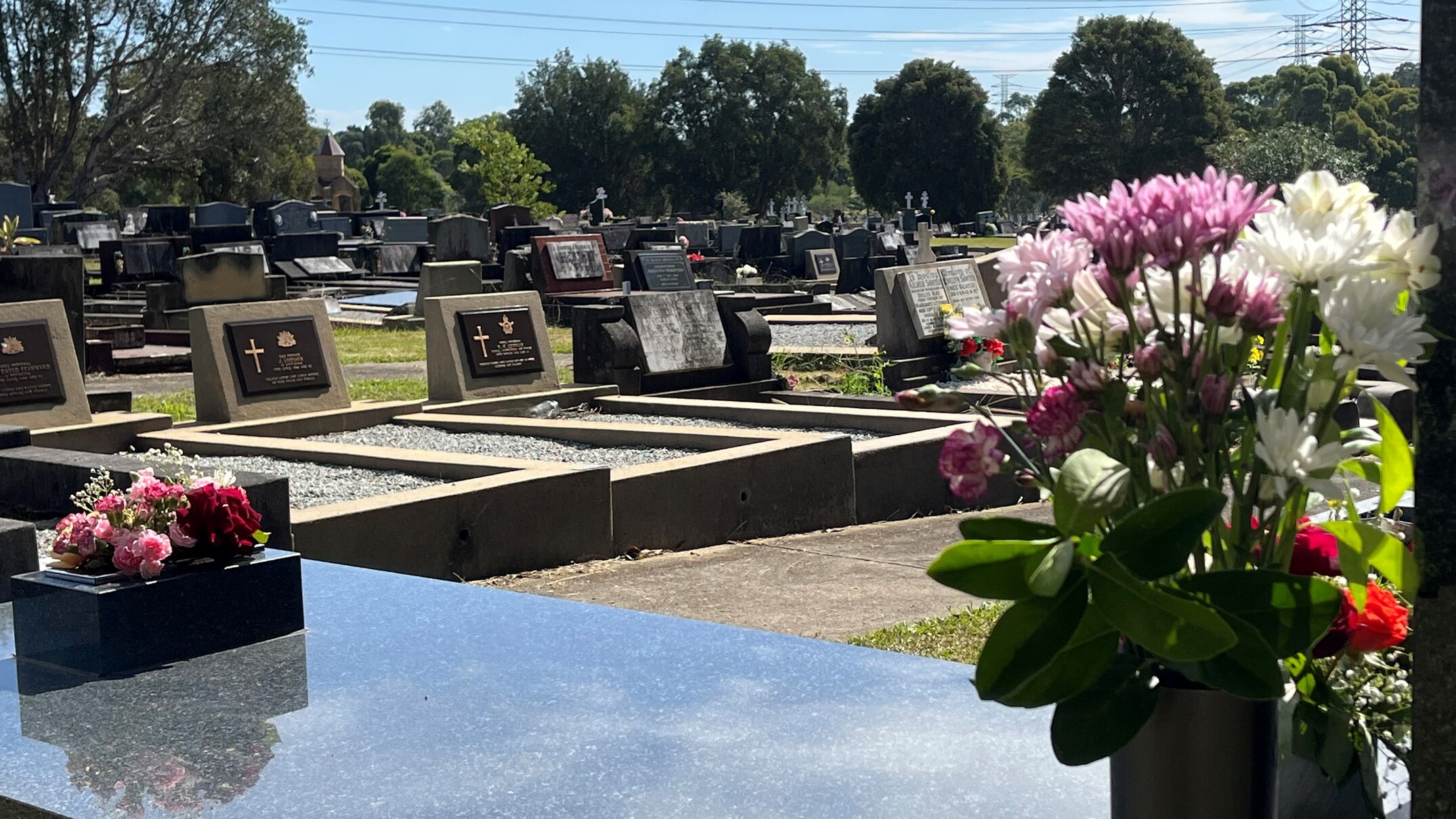 Alternative burial solutions gaining momentum amid Sydney's dwindling ...