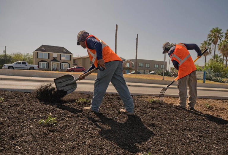 How a Historic Immigration Drop Is Changing the Job Market