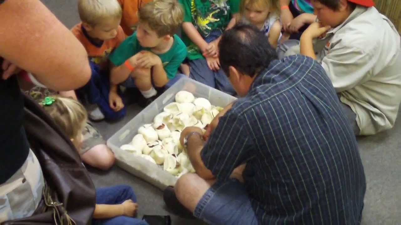 Family fun at the Reptile Zoo