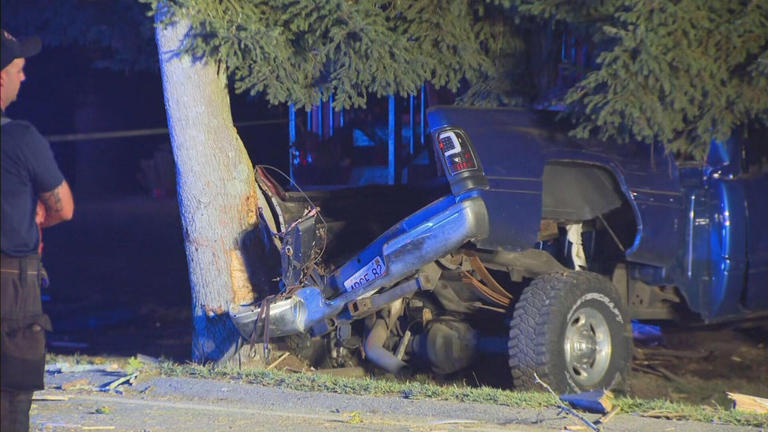 Driver killed in crash just after "confrontation" at Dollar Tree store ...