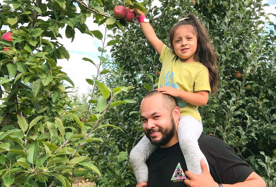 Apple Picking near Boston in 2025: Best Apple Farms and Apple Festivals ...