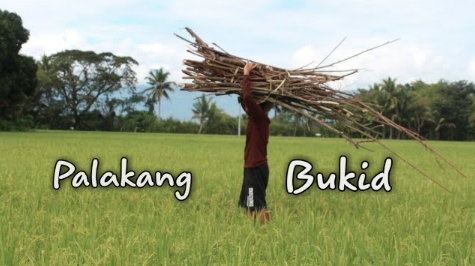 Simple life in the countryside: Cooking traditional adobong palaka