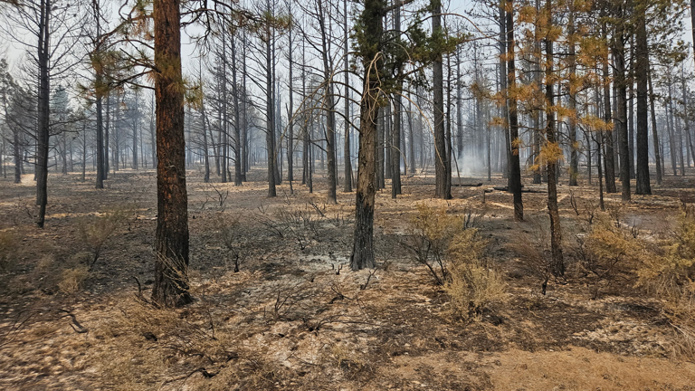 Flat Fire in Jefferson, Deschutes Co. ‘fairly well under control ...