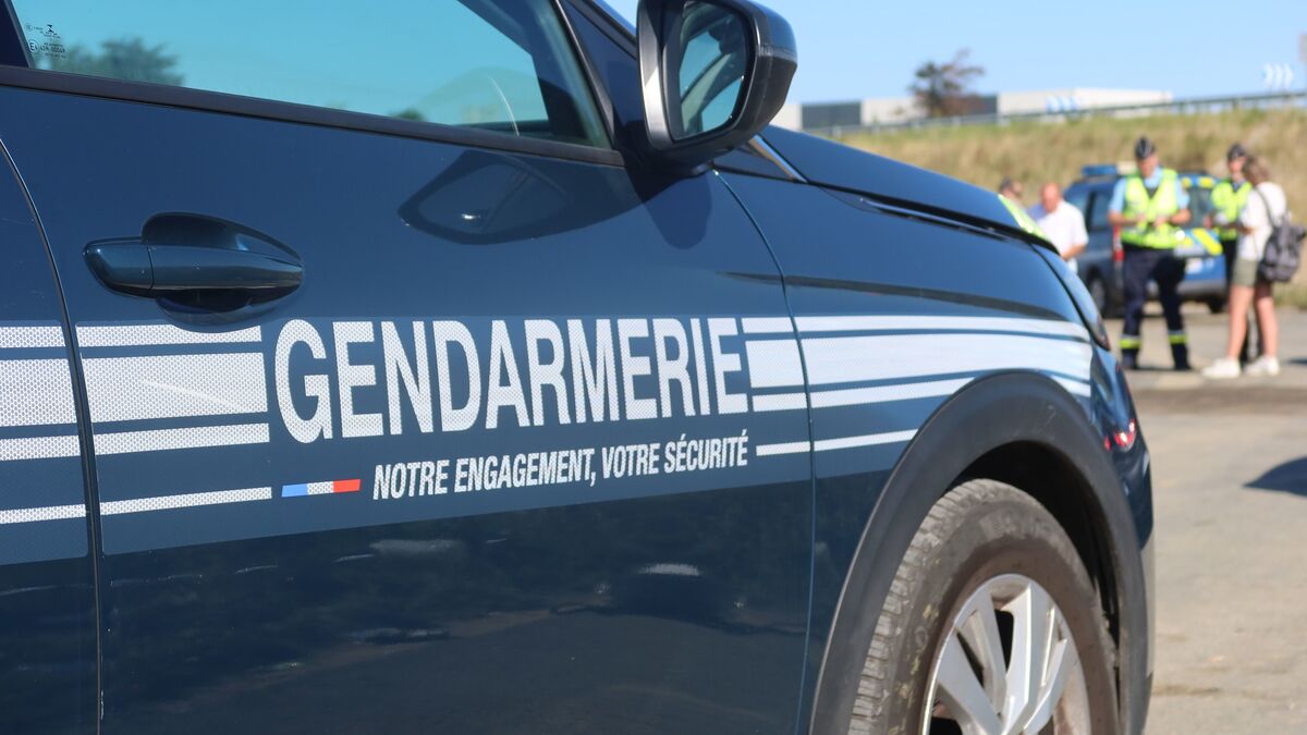 Ille-et-Vilaine : deux hommes en garde à vue après la découverte d’un ...