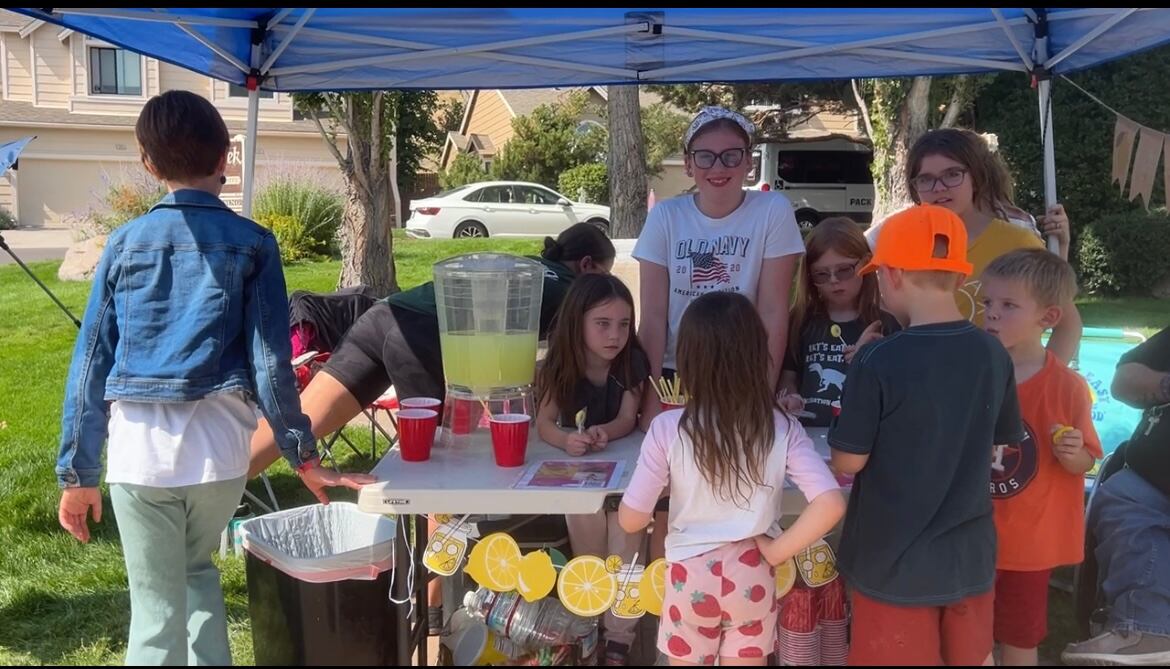 Locals host lemonade stand to help kids with rare conditions