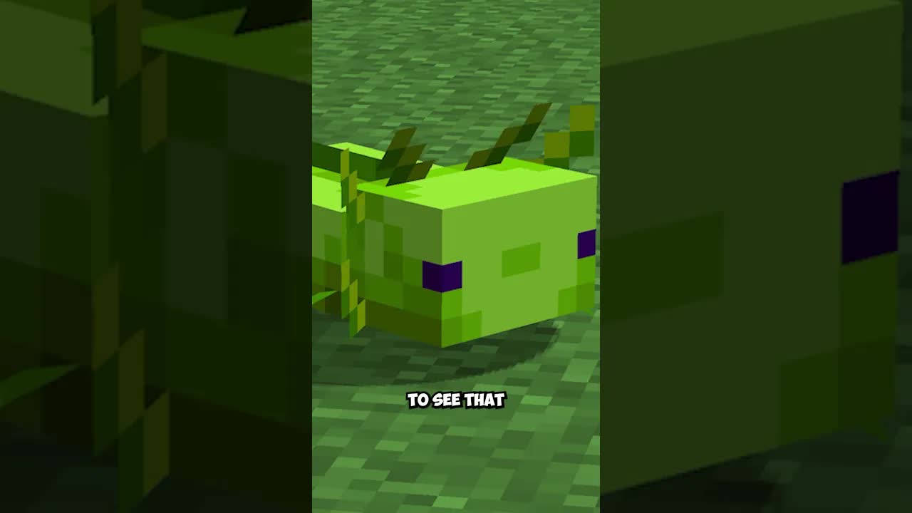 The secret green axolotl in Minecraft