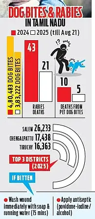 One in four rabies deaths in TN caused by pet dogs, show recent data