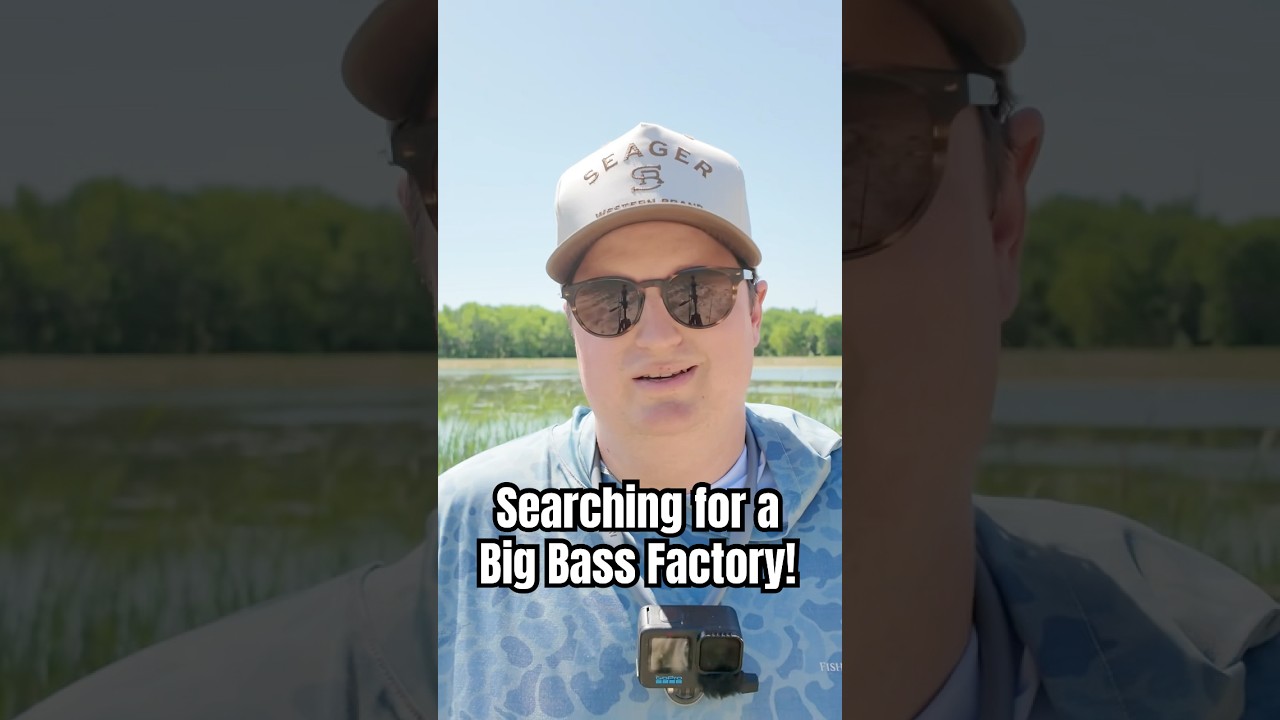 Searching for New Ponds Loaded With Big Bass Is Always a Fun Time!