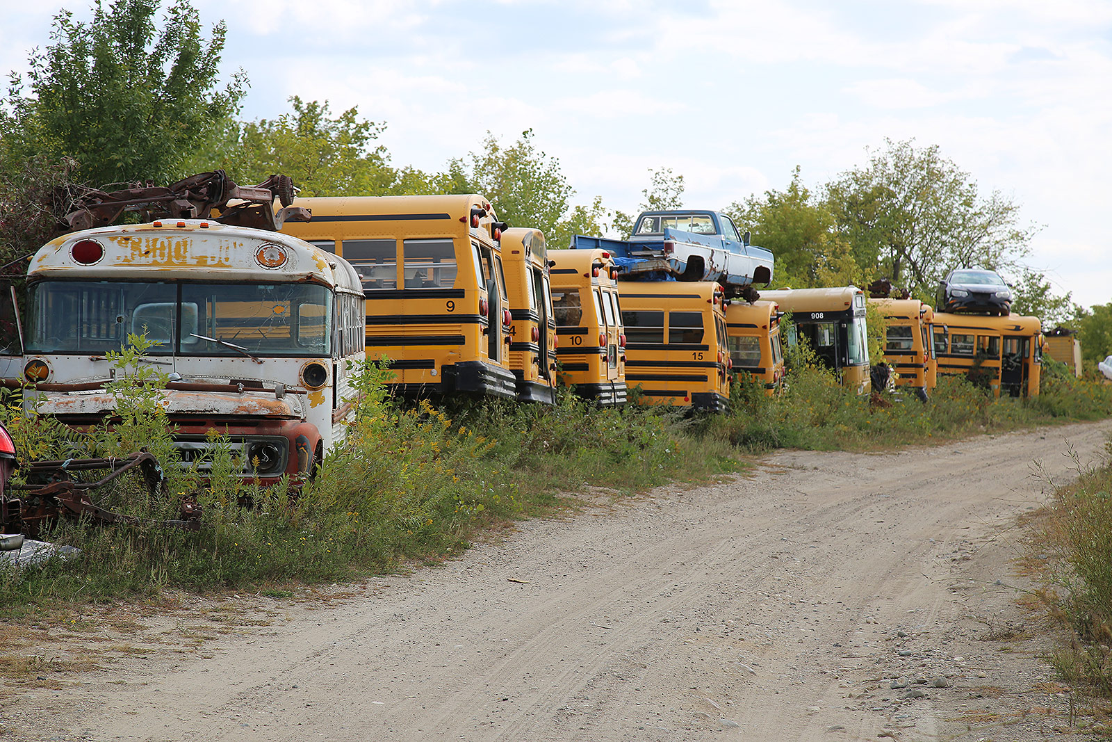 Nos trouvailles préférées dans la casse chez Rohner's Auto Parts ...