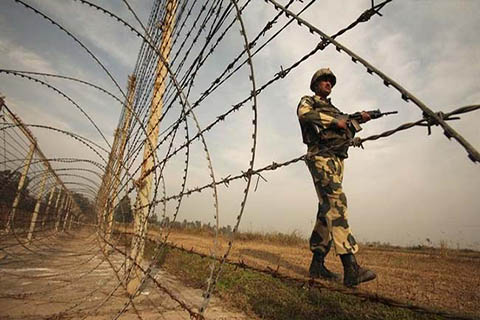 255 Pakistani drones neutralised so far this year: BSF