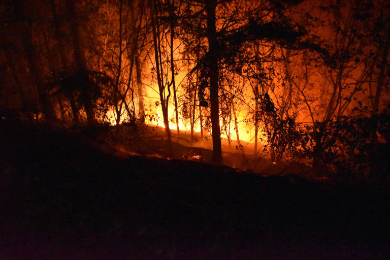 Brush fire burns steep hillside in rural Washington Co.; Crews protect ...