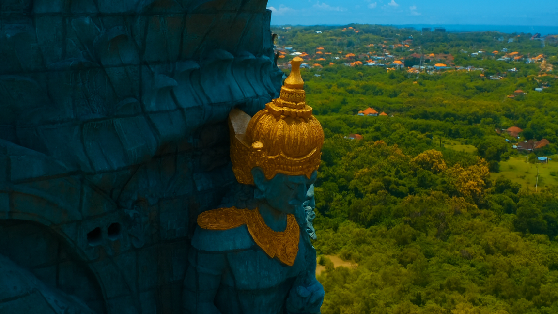 Quiet Encounters with Wildlife – Faces of the Wild (4K)