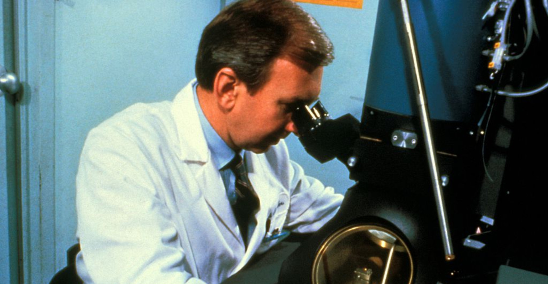 The impact of fake studies on scientific research