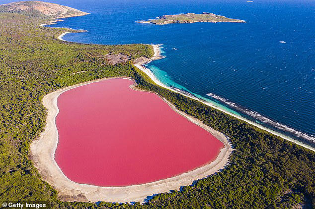 Walkers stunned after discovering bright PINK lake on their travels