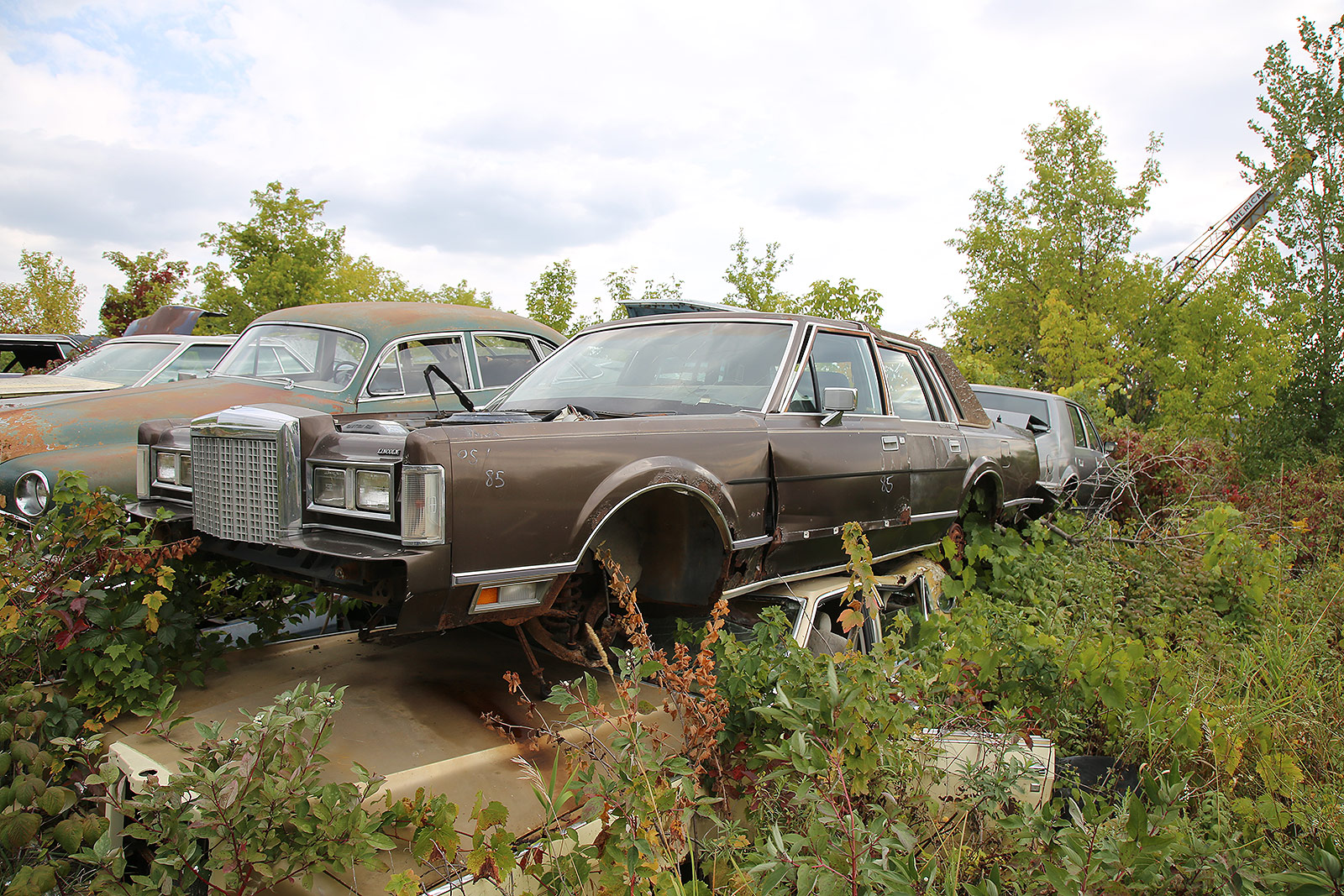 Nos trouvailles préférées dans la casse chez Rohner's Auto Parts ...