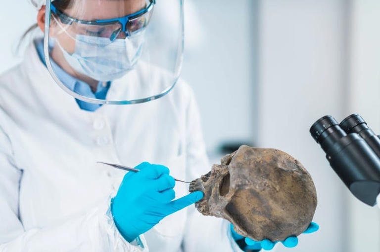 Ancient interbreeding secret: why Indigenous Americans carry a disease ...
