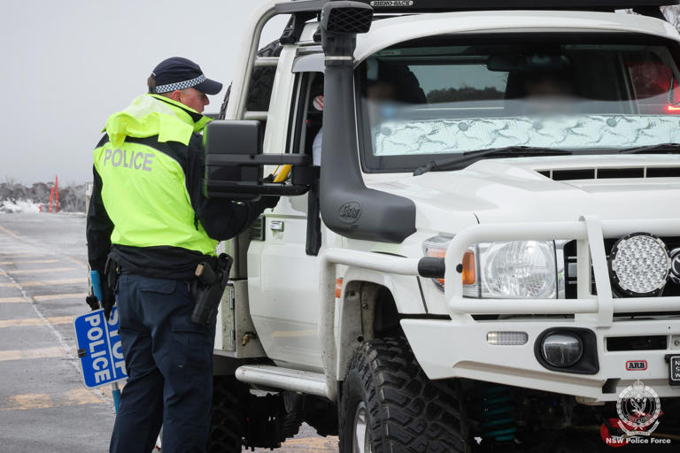 NSW police issue more than 1500 traffic infringements to snow bunnies