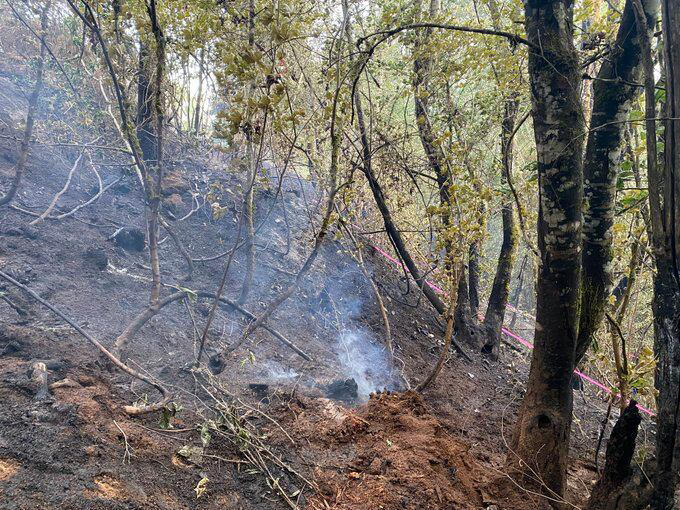 Brush fire burns steep hillside in rural Washington Co.; Crews protect ...