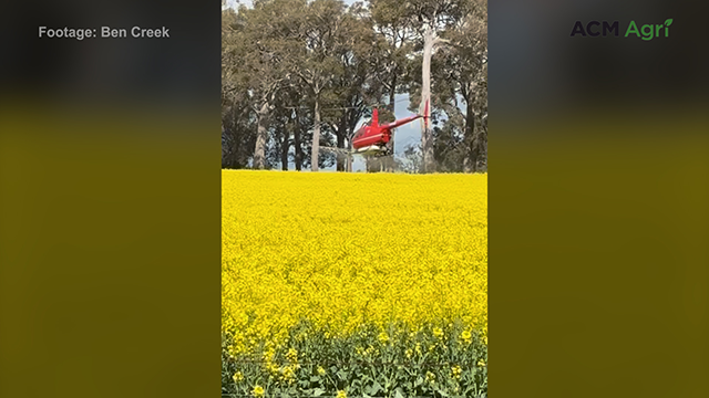 Boyup Brook grower turns to helicopters after repeated bogging