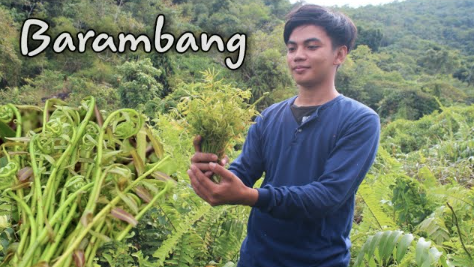 Foraging Wild Ferns (Barambang) & Cooking Ilocano Pinakbet