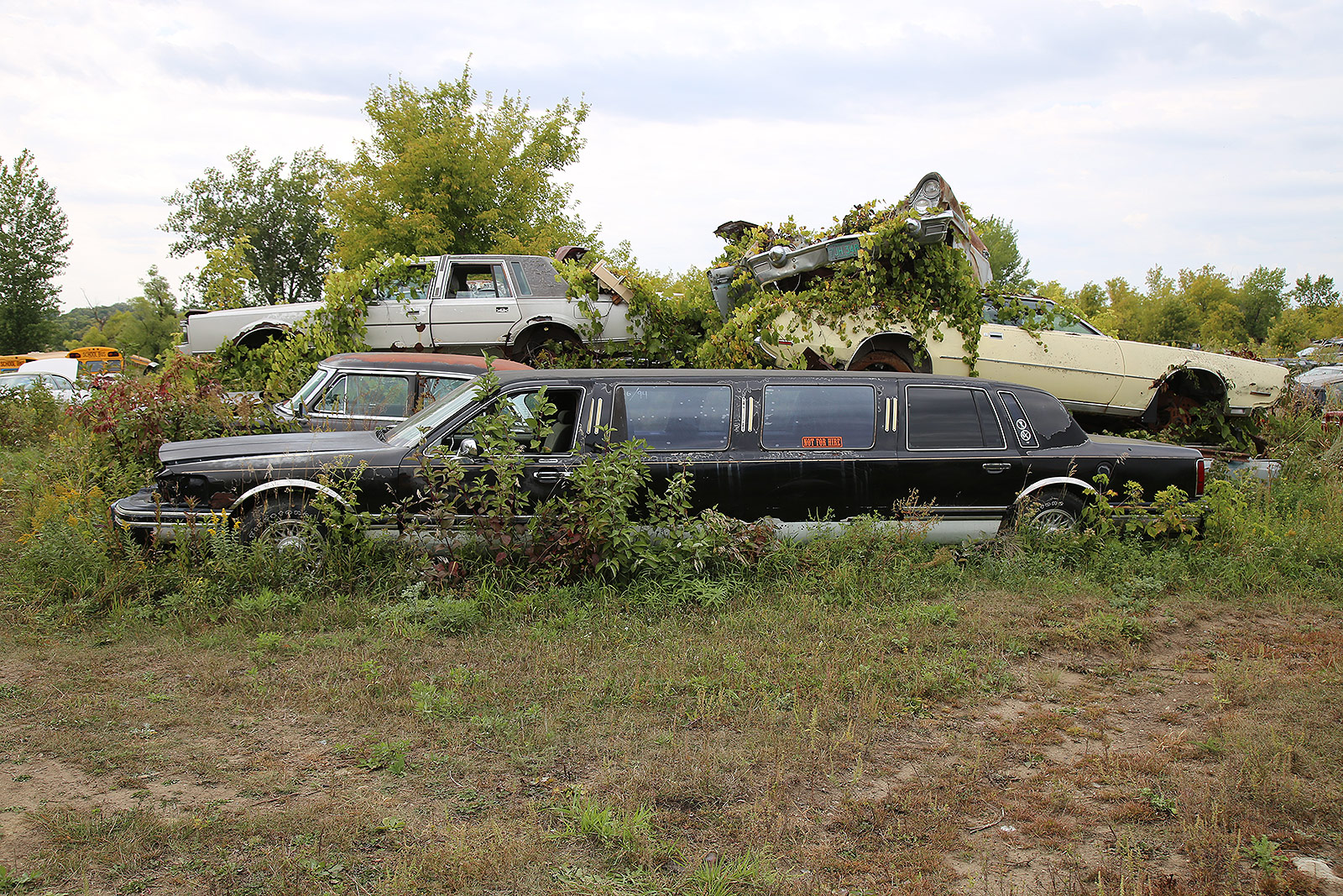 Our favourite junkyard discoveries at Rohners Auto Parts, Willmar ...