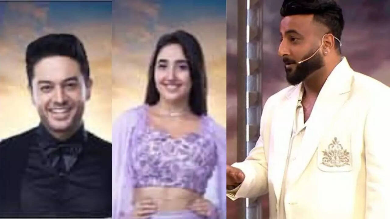 Bigg Boss 19: Gaurav Khanna, Ashnoor Kaur and Baseer Ali win hearts ...