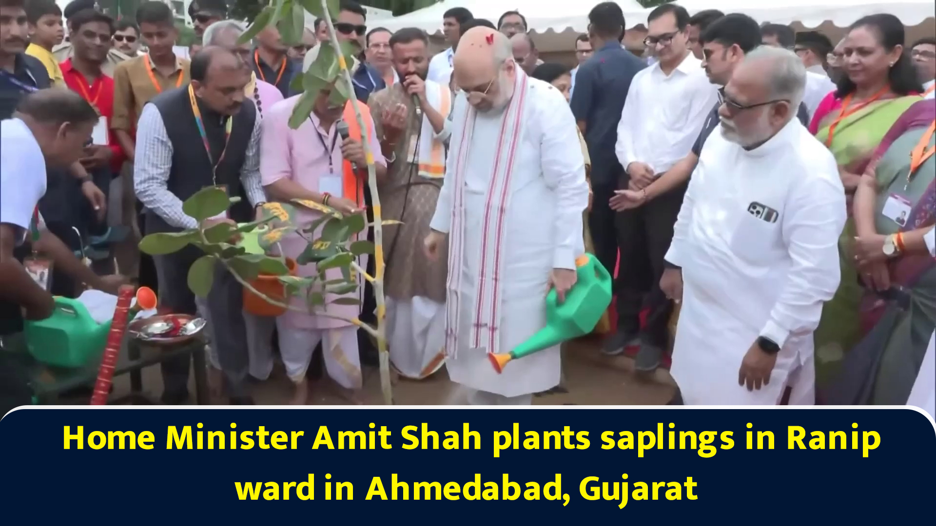 Home Minister Amit Shah plants saplings in Ranip ward in Ahmedabad, Gujarat