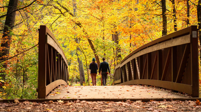 This Midwestern College City Is A Quiet Standout Offering Big-Name Art ...