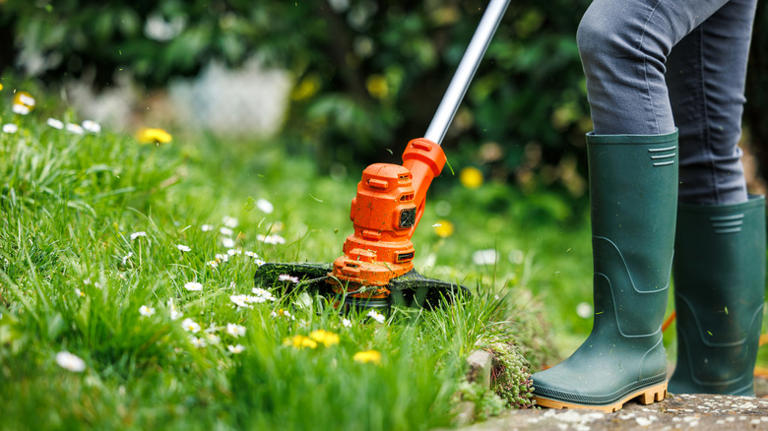 The Tip You Need To Keep Weeds From Spreading And Your Lawn Looking Great