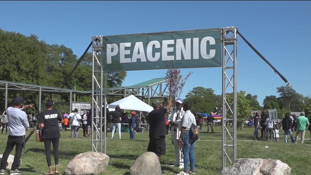 Detroit promotes peace at picnic with over 50 organizations at Skinner ...