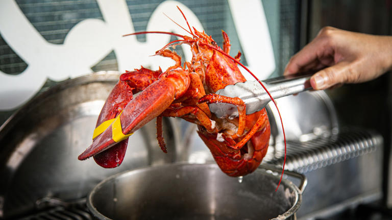 Does Red Lobster Boil Lobsters Alive Before Serving? Here's The Truth