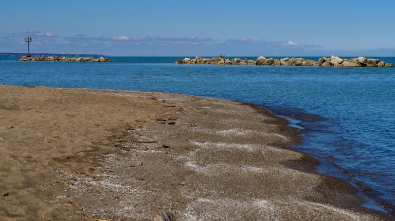 Be Careful Going Anywhere Near The Most Snake-Infested Lakes In America ...