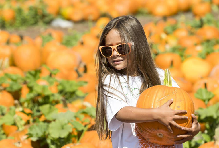 Ultimate Guide to Fall Festivals in 2025 for Los Angeles Families