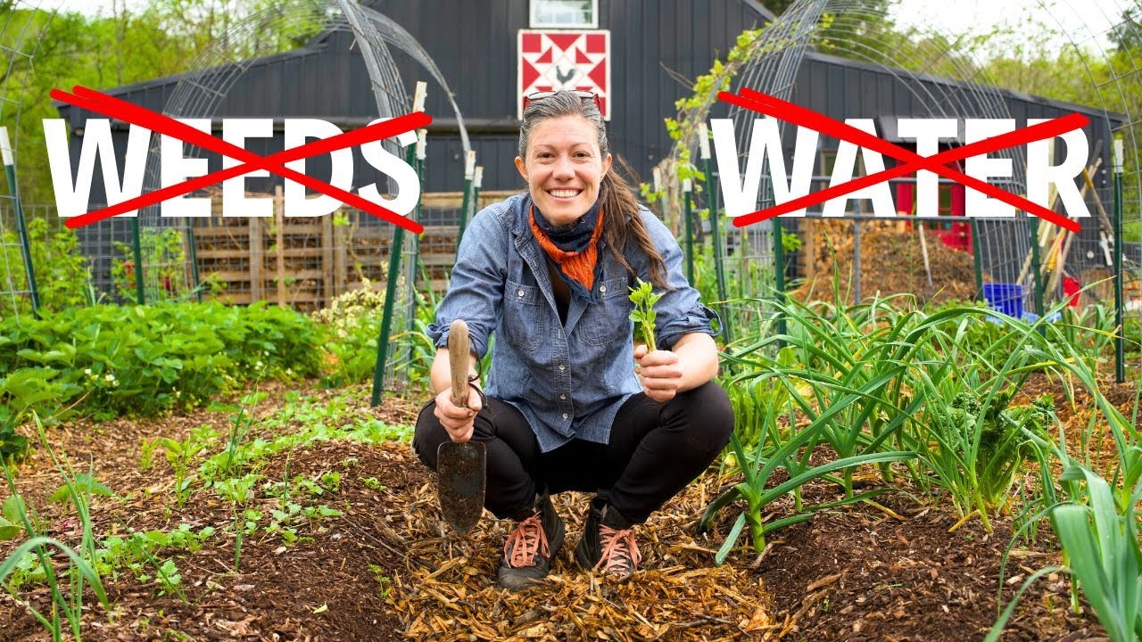 Your ultimate lazy garden guide