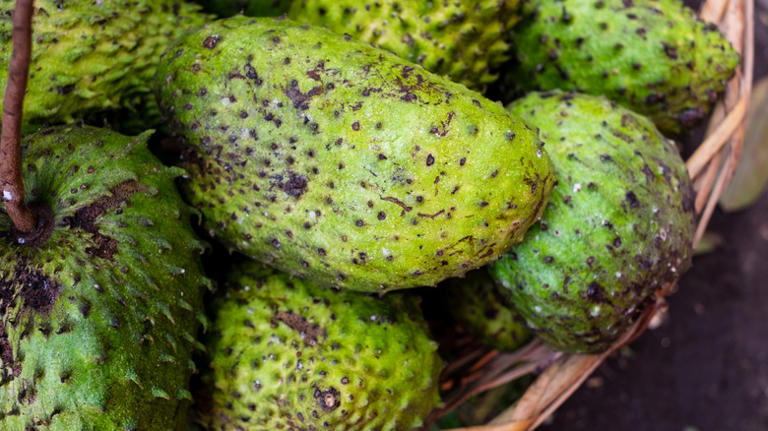 8 Facts About Soursop You Should Know