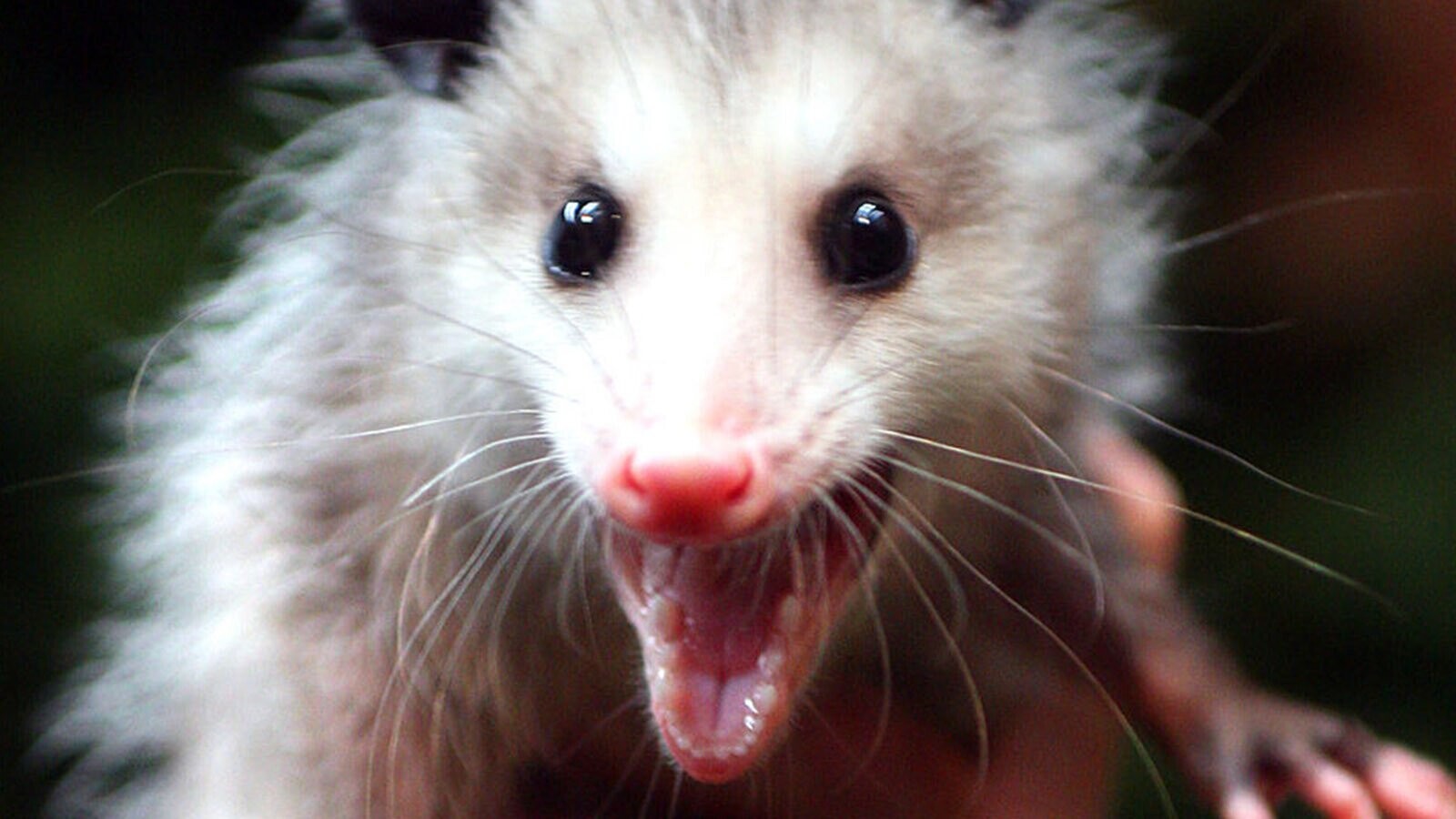 27 Facts To Penetrate Your Weekend Brain Fog